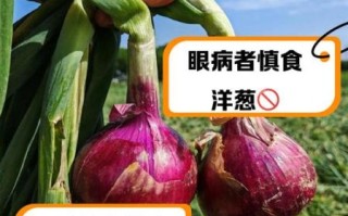 肠胃不好能吃洋葱吗_洋葱对胃的刺激程度