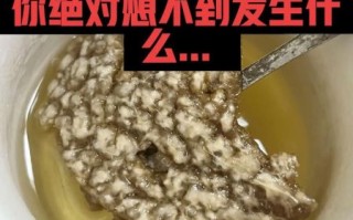 蛇胆怎么吃_蛇胆的功效与作用