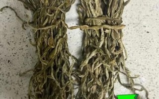 干豆角怎么泡发_干豆角图片大全