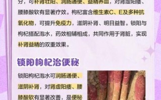 锁阳泡水喝的功效_锁阳泡水怎么喝最有效