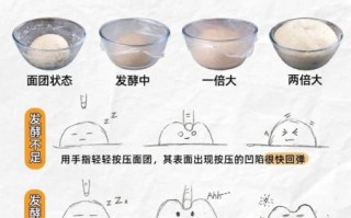 面粉发酵要多久_面粉发酵温度多少合适