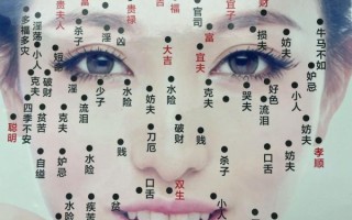 女人面部痣图解大全_痣的位置与命运图解