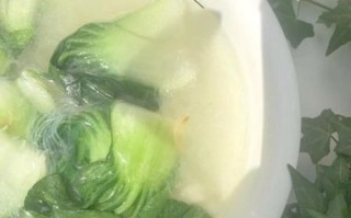 青菜汤怎么煮_青菜汤的做法步骤