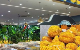 海鲜自助餐加盟哪家好_海鲜自助加盟10大品牌排行榜