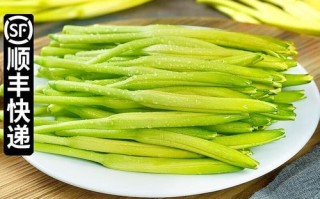 新鲜金针菜怎么焯水去毒_家常金针菜做法步骤