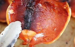 鱿鱼丝孕妇可以吃吗_孕期吃鱿鱼丝注意事项