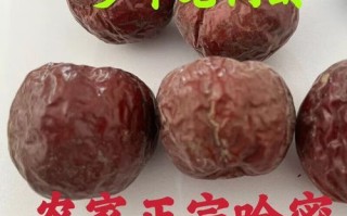 哈密大枣哪里买最正宗_哈密大枣多少钱一斤