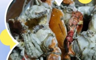 螃蟹死了一晚上还能吃吗_如何判断死蟹是否变质