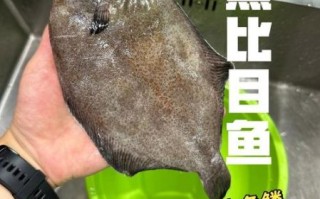 比目鱼怎么做好吃又简单_家常做法