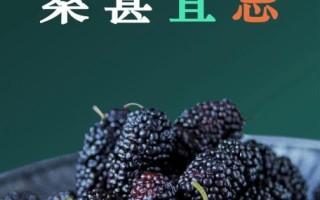 吃桑葚的功效与作用及禁忌_哪些人不能吃桑葚