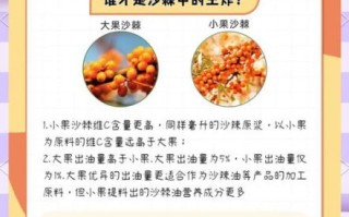 沙棘果和猕猴桃哪个维生素c高_沙棘果维生素c含量对比
