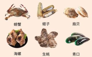 海产品图片大全及名称_哪些海鲜值得收藏