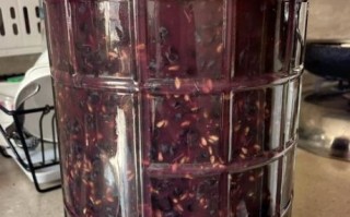 自制葡萄酒的正确做法_如何避免失败