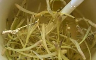 抽烟的人喝什么茶清肺_长期吸烟喝什么茶最好