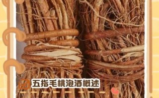 五指毛桃根泡酒壮阳多久见效_五指毛桃根壮阳泡酒配方