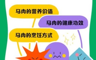 新鲜马肉怎么做好吃_马肉去腥嫩化技巧