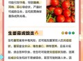 西红柿生吃有营养吗_生吃西红柿的好处与坏处