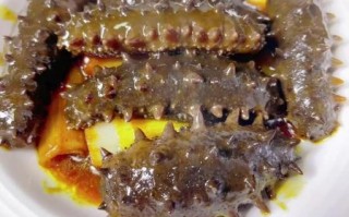 大葱烧海参怎么做_天涯明月刀游戏美食复刻