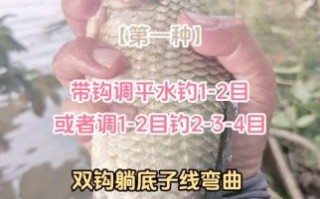 钓鲤鱼用什么饵料_钓鲤鱼怎么调漂