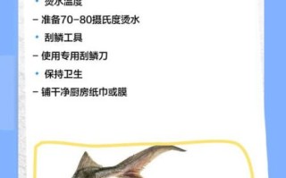 人工鲟鱼死了一天能吃吗_如何判断是否变质