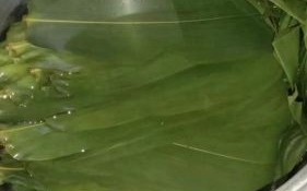 粽子叶泡多久可以包粽子_新鲜粽叶怎么处理