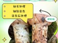 新鲜松茸怎么清洗_新鲜松茸的做法大全