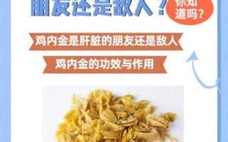 长期吃鸡内金的副作用_对身体有哪些危害