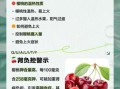 樱桃吃多了会怎么样_一天最多吃几颗