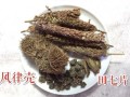 猫爪草散结一周喝几次_猫爪草散结茶正确喝法