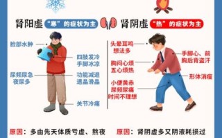 肾虚的表现男_如何调理最有效