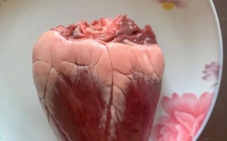 羊心图片怎么拍_羊心解剖结构图高清