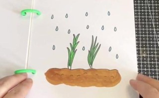 韭菜简笔画怎么画_韭菜图片简笔画教程