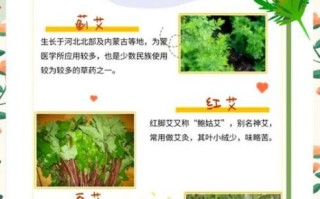 艾草有多少种_艾草品种大全