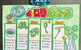 豆芽怎么种_豆芽生长过程观察日记简笔画