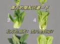 北方菜有哪些特色_北方菜和南方菜区别