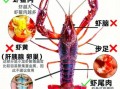 龙虾的营养价值_龙虾吃了会长胖吗