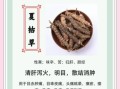 夏枯草的功效与作用_夏枯草能长期喝吗