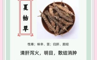 夏枯草的功效与作用_夏枯草能长期喝吗