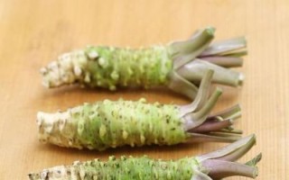 芥末是什么做的_芥末原料和辣根区别