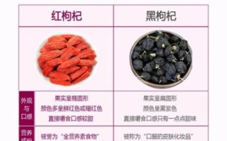 黑枸杞的正确吃法_黑枸杞的功效与作用