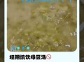 绿豆汤禁忌有哪些_什么人不能喝绿豆汤