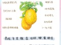香橼的功效与作用_香橼怎么吃效果最好