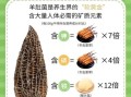 羊肚蘑菇的功效与作用_羊肚蘑菇怎么吃最营养