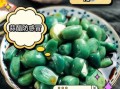 米醋泡大蒜能降血压吗_米醋泡大蒜的正确做法