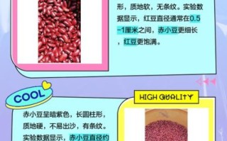 红豆和赤豆的区别是什么_赤小豆是不是红豆