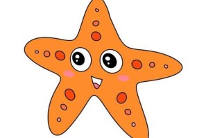 海星简笔画怎么画_海星简笔画步骤