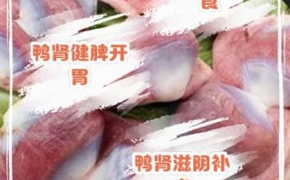 鸭肾的功效与作用_鸭肾怎么清洗才干净