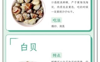 蛤蜊是不是花甲_花甲和蛤蜊的区别