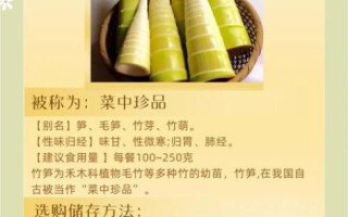 竹笋的营养价值及功效_竹笋的禁忌有哪些