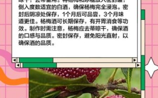 新鲜杨梅怎么腌制好吃_杨梅腌制方法步骤